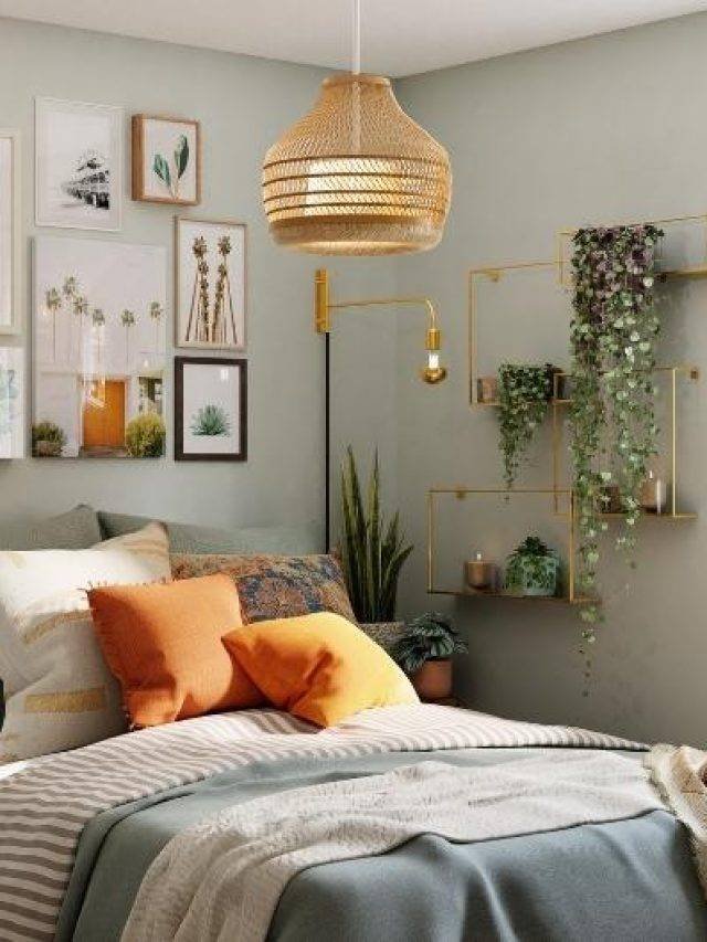 Best Indoor Plants You Should Have in Your Bedroom - Somya Buildcon Best Indoor Plants You Should Have in Your Bedroom - Somya Buildcon